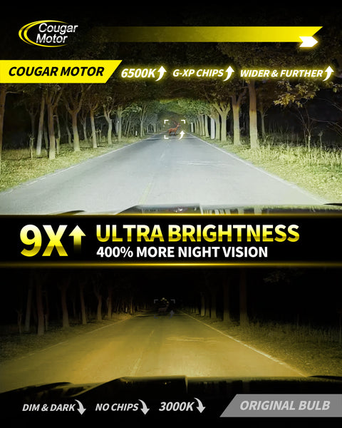 9006 Led Headlight Bulbs | Double CANBUS-Ready | Led Bulbs For Car ...